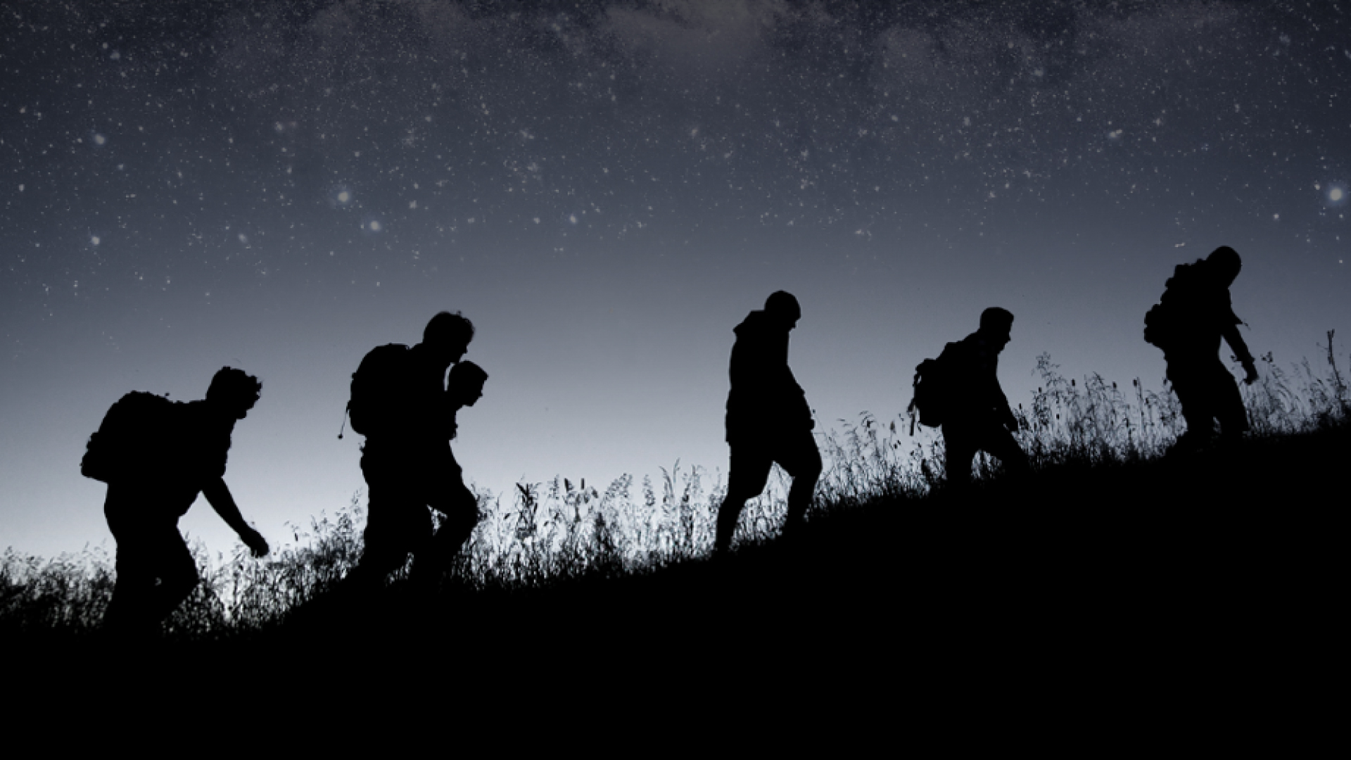 Our Team - Response Media